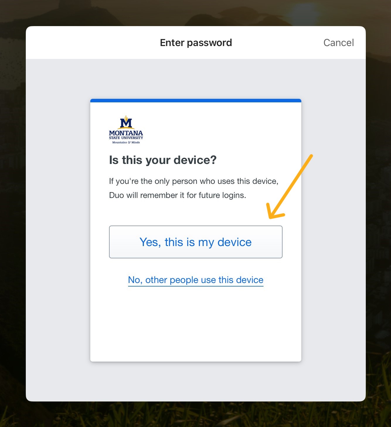 Outlook Setup on Outlook Web Edition for Mac - Office 365 | Montana State University